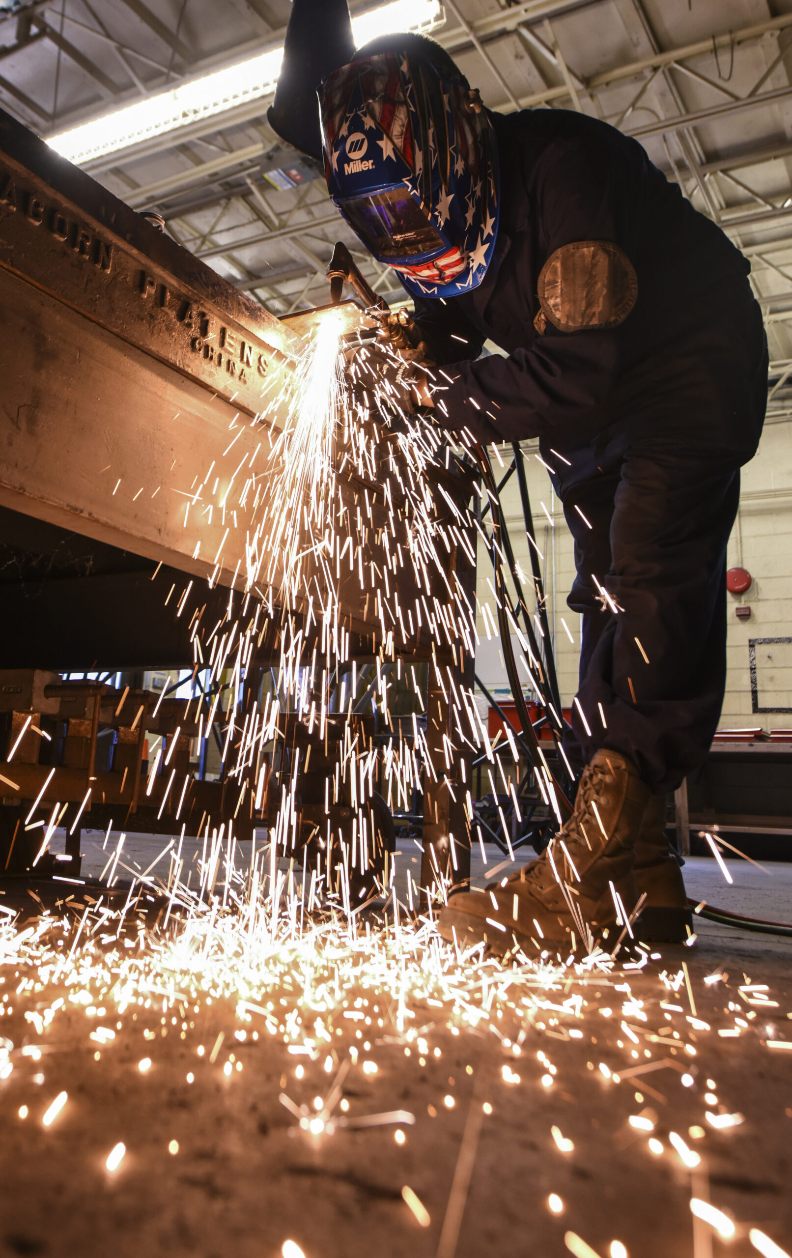 Flash Blindness - HDIAC