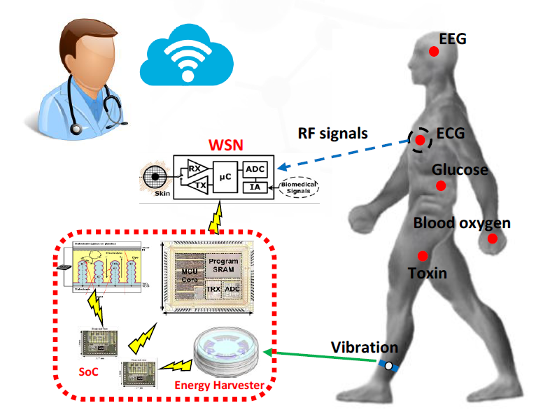 Soft Micro-Robots for Military Medicine - HDIAC