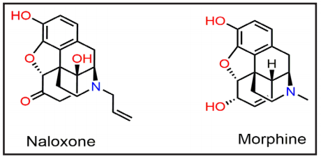 Synthetic Opioids: A New Class of Chemical Weapons? - HDIAC