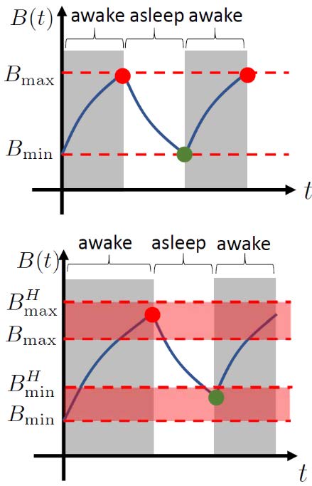 Optimization of Lighting and Sleep Schedules for Circadian Rhythm ...