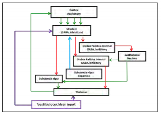 Improving Cognitive Performance in Aviation & Other Military ...