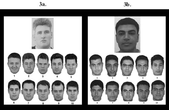 Unfamiliar Face Recognition - HDIAC