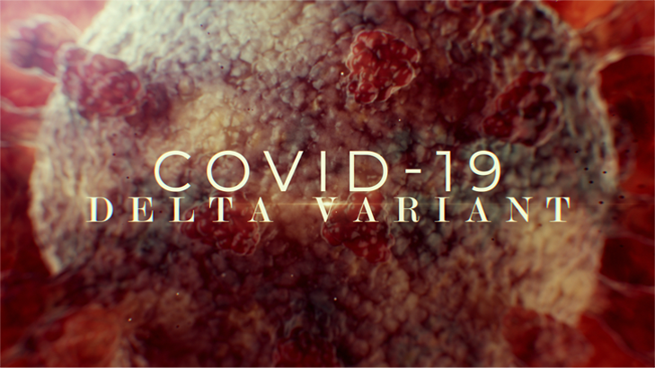 COVID-19 Delta Variant - HDIAC