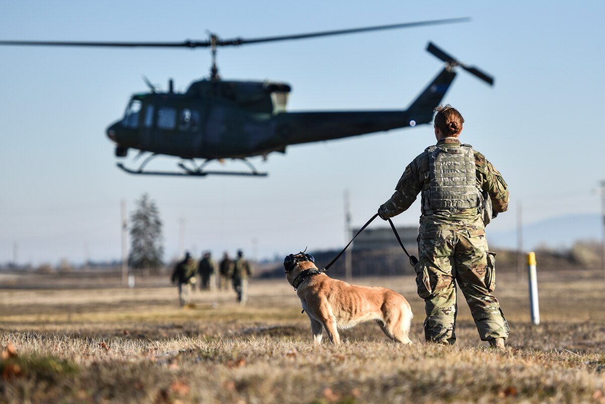 Military Working Dog CBRN Protection and Medical Countermeasures - HDIAC