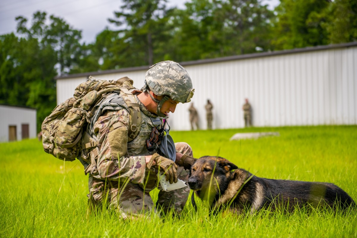 S&T Launches New Training Guideline for Detection Canine Teams - HDIAC