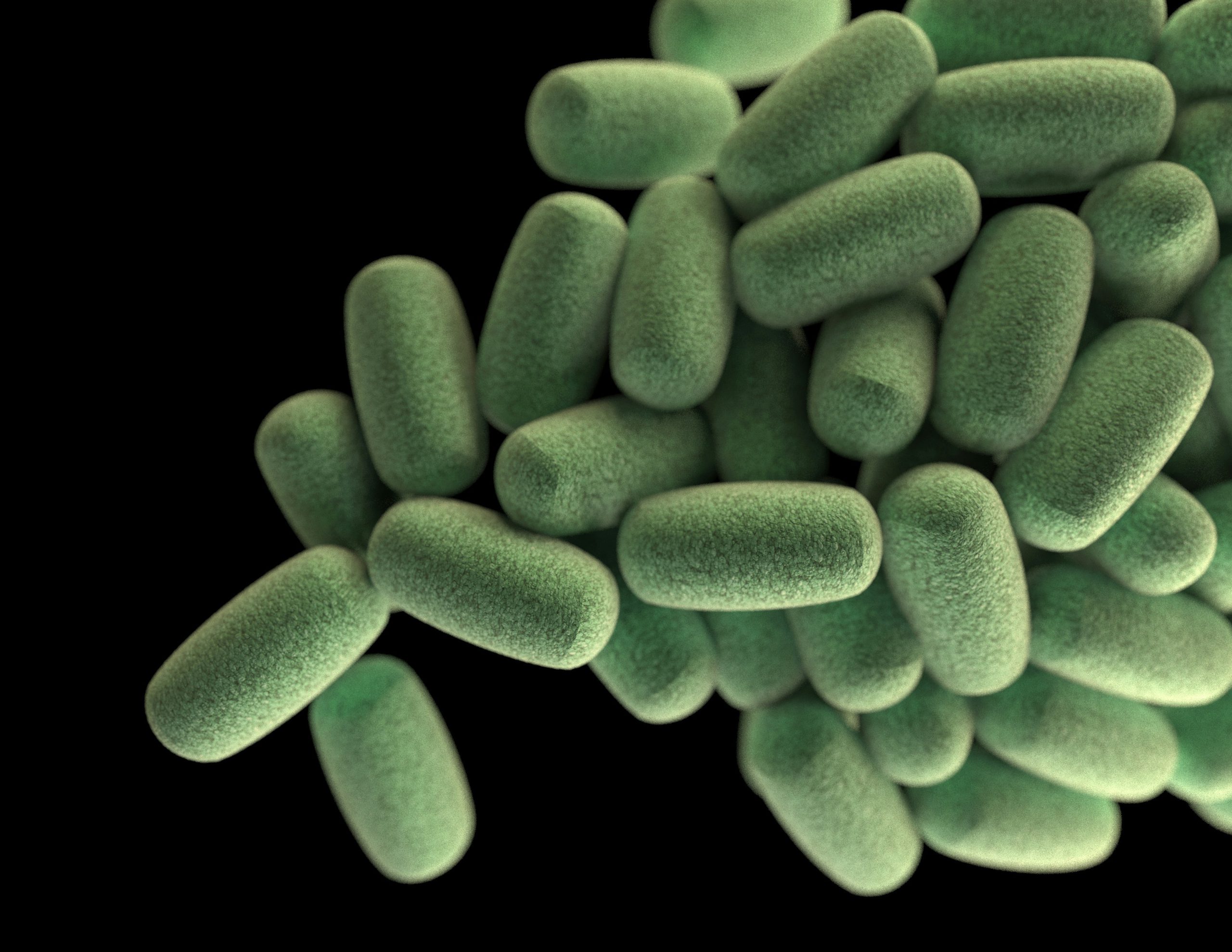 Revealing the Mysteries Within Microbial Genomes - HDIAC